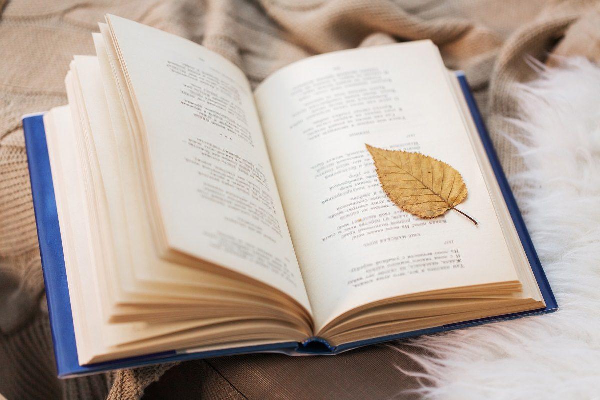 What Is The Structure Of The Poem Speeli